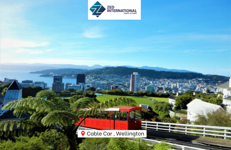 New Zealand - ZED International