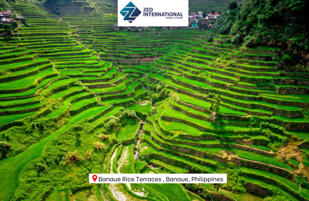 Philippines - ZED International